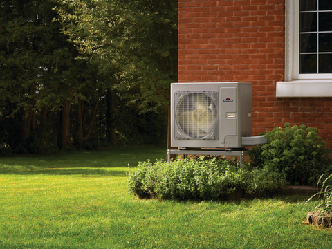 Napoleon Home Comfort